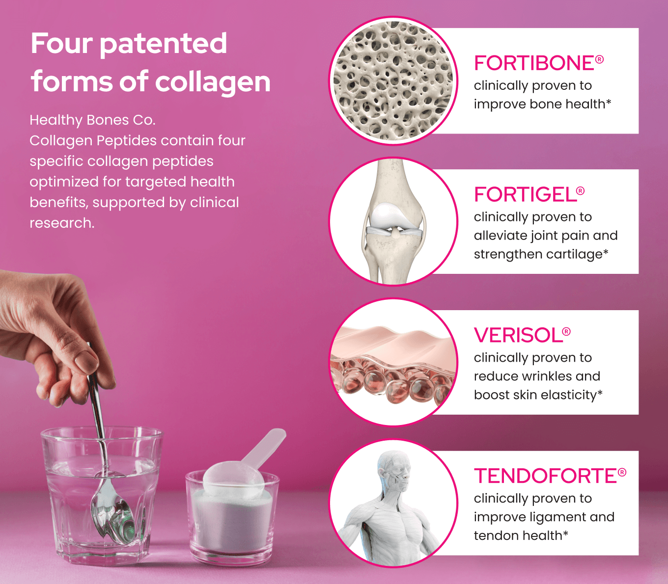 Healthy Bones Co. - Collagen Peptides For Bone Density