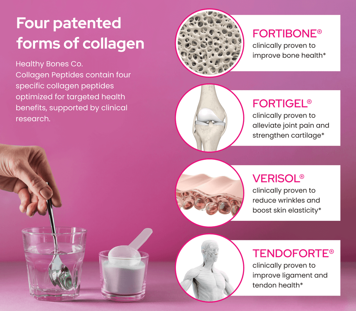 Healthy Bones Co. - Collagen Peptides For Bone Density