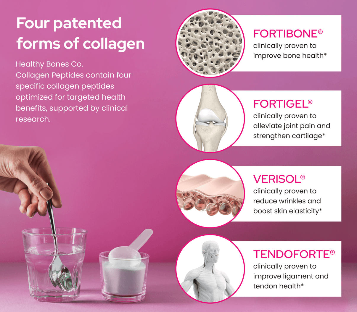 Healthy Bones Co. - Collagen Peptides For Bone Density