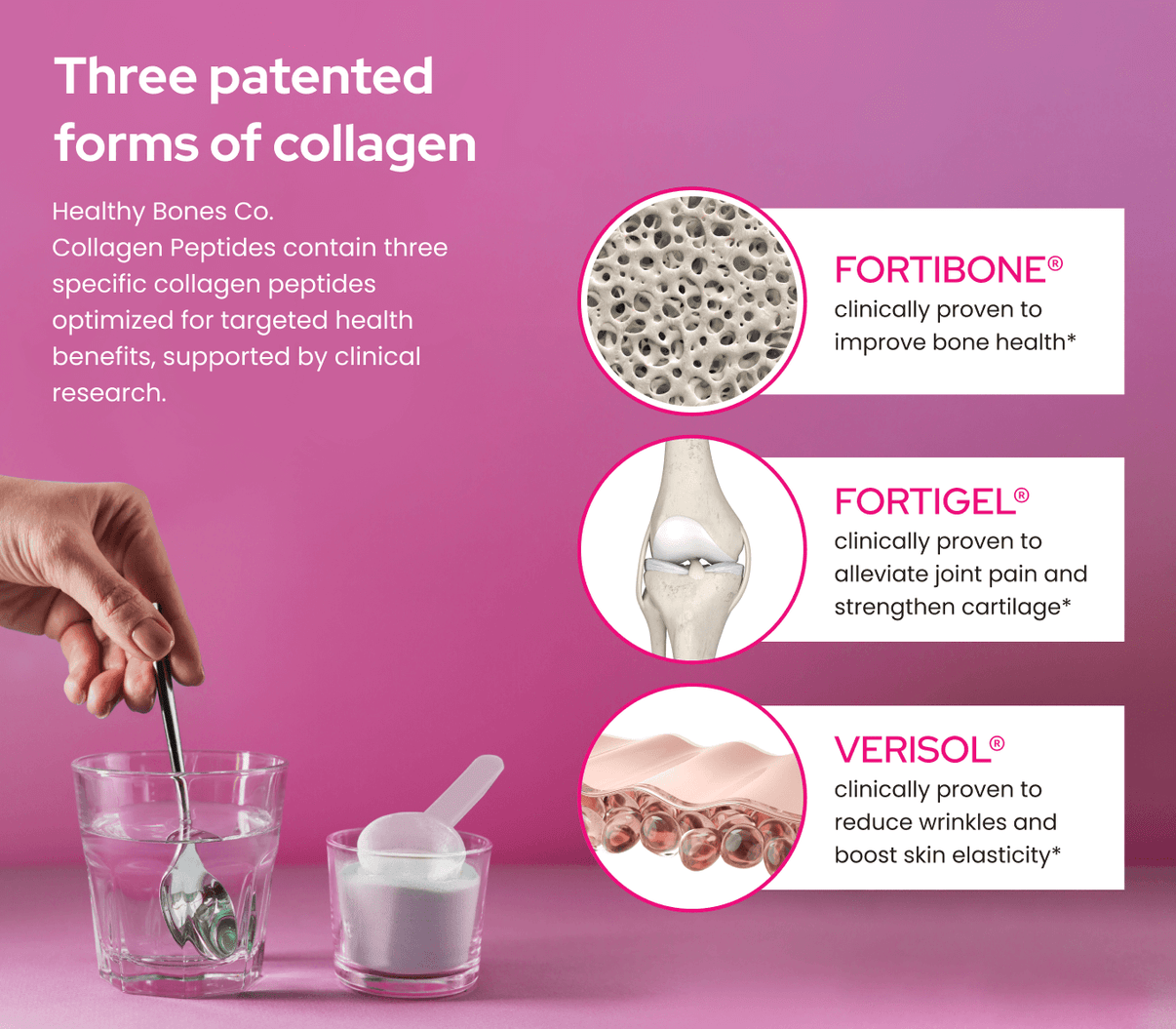 Healthy Bones Co. - Collagen Peptides For Bone Density